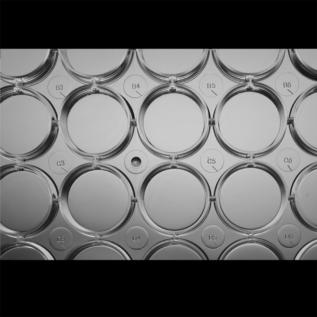 Glass Bottom Cell Culture Plates - Complete Laboratory Systems
