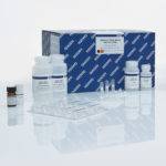 QIAamp DNA Blood Mini Kit (250) | Complete Laboratory Systems