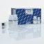 QIAamp DNA Blood Mini Kit (250) | Complete Laboratory Systems