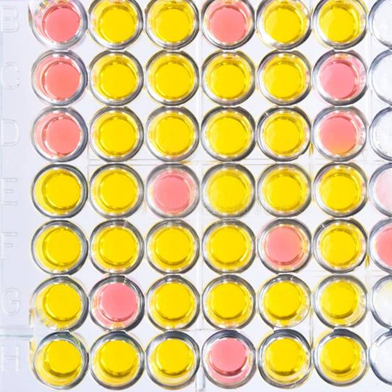 Plates & Consumables | Lab Consumables | Complete Laboratory Systems